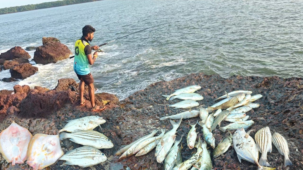 दिवसभर केली समुद्रावर भन्नाट मासेमारी , गरवून पकडले मासे |Traditional ...
