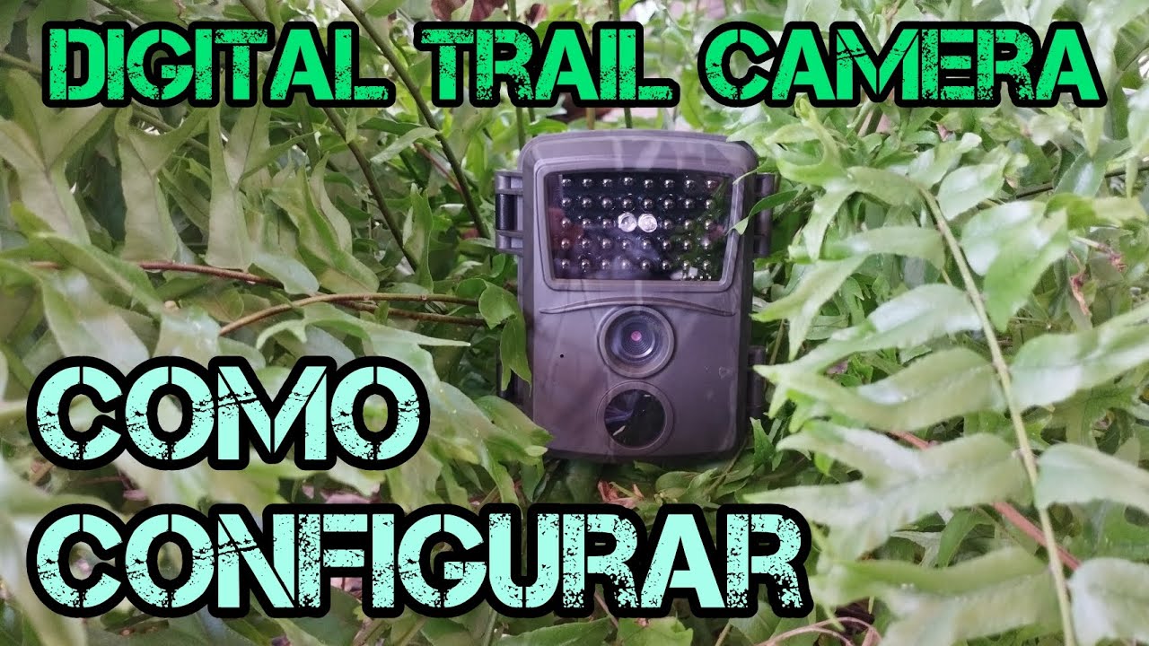Como configurar câmera de monitoramento - Digital trail camera - YouTube