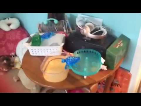 Cringe Turtle - YouTube