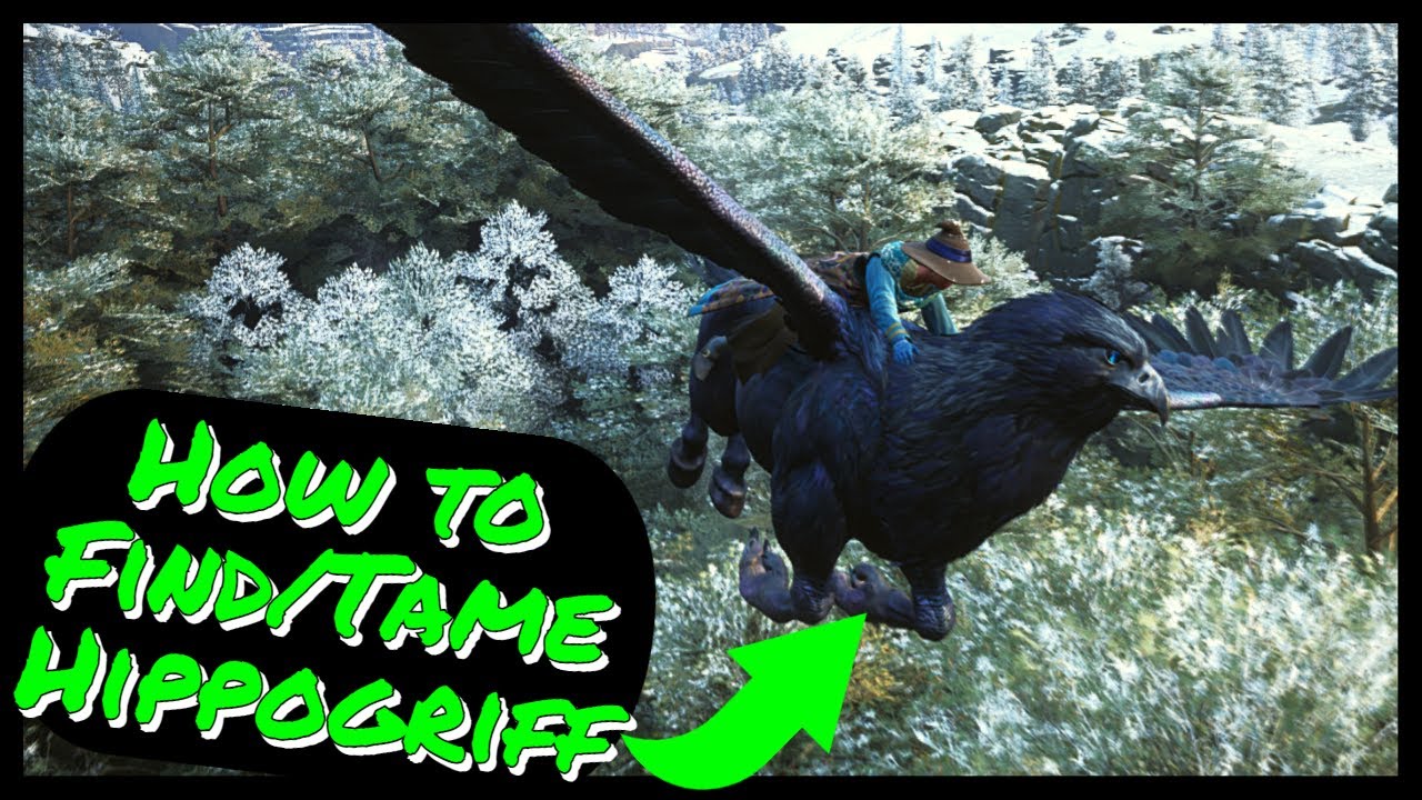 How to Find/Tame HIPPOGRIFF in Hogwarts Legacy - YouTube