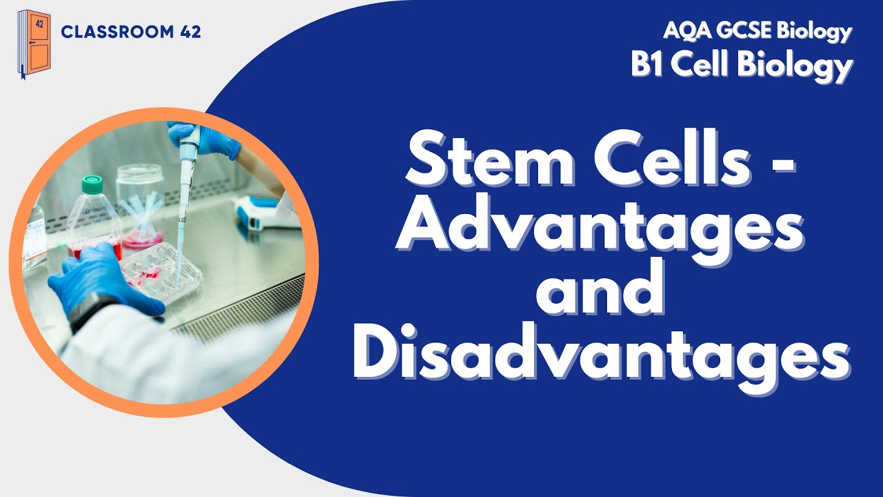 10 Cell Biology Stem cells advantages and disadvantages - YouTube