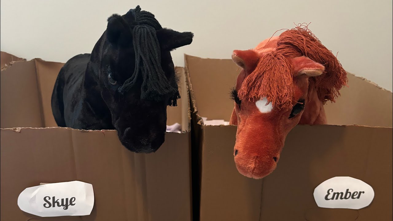 Morning routine with the ponies!! | LeMieux Toy Ponies - YouTube