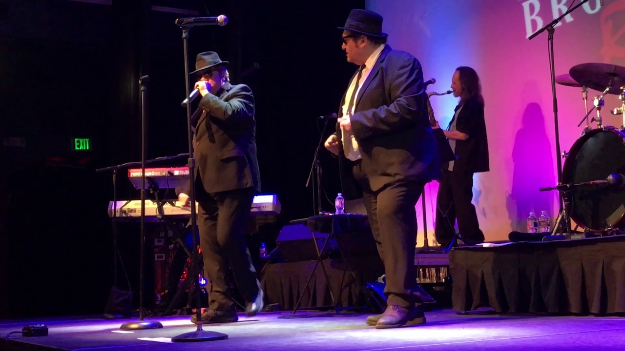 Official Blues Brothers Review live concert - 2/10/2019 Austin Texas ...