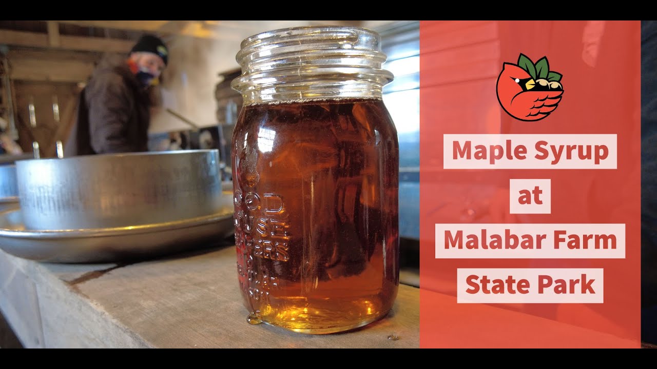 Maple Syrup at Malabar Farm State Park - YouTube