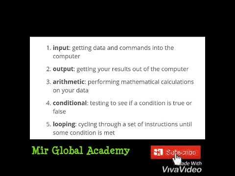 5 Basic Programming Elements - YouTube