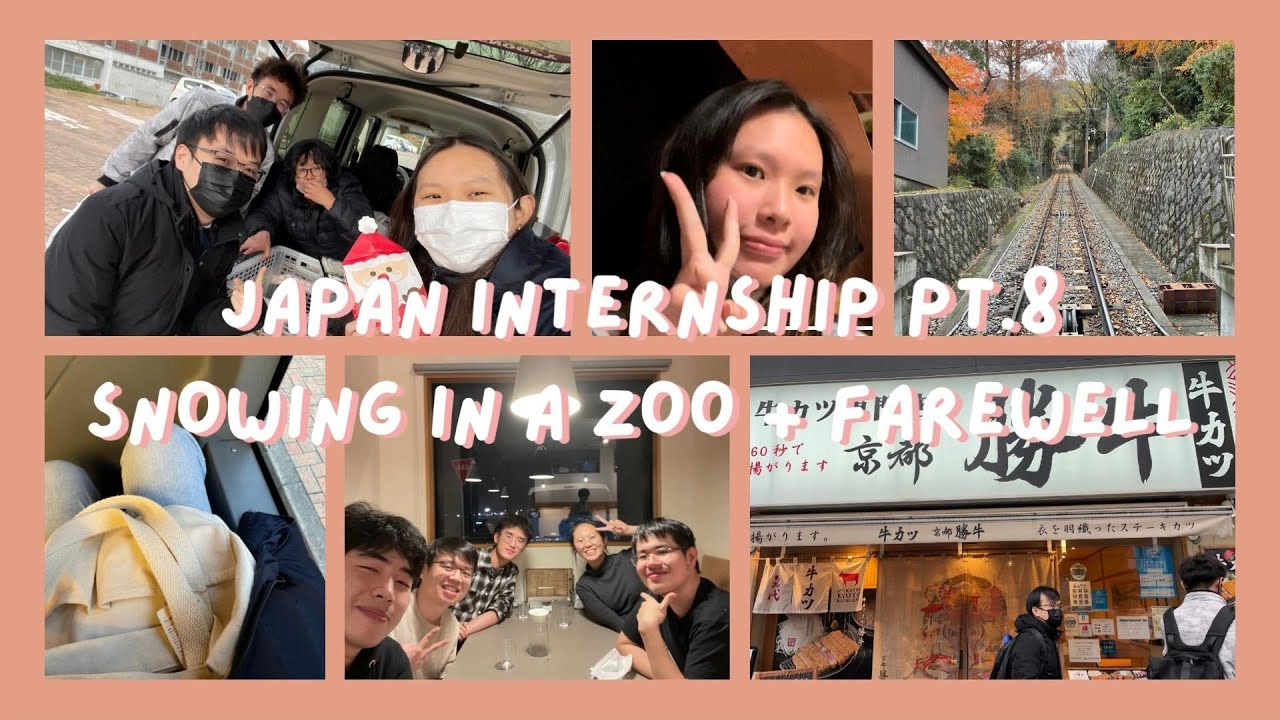 Japan Internship Experience pt.8 🇯🇵 [vlog] - YouTube