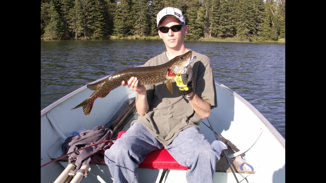 Minnesota Fishing Trip 2010 Mantrap Lake, Park Rapids, Muskie Pike ...