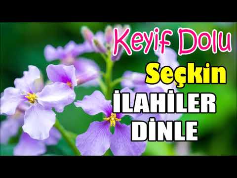İLAHİLER DİNLE \\ 2026 Yılının Keyif Veren Seçkin İlahileri-Türkçe İslami İlahi ve Tasavvuf İlahileri