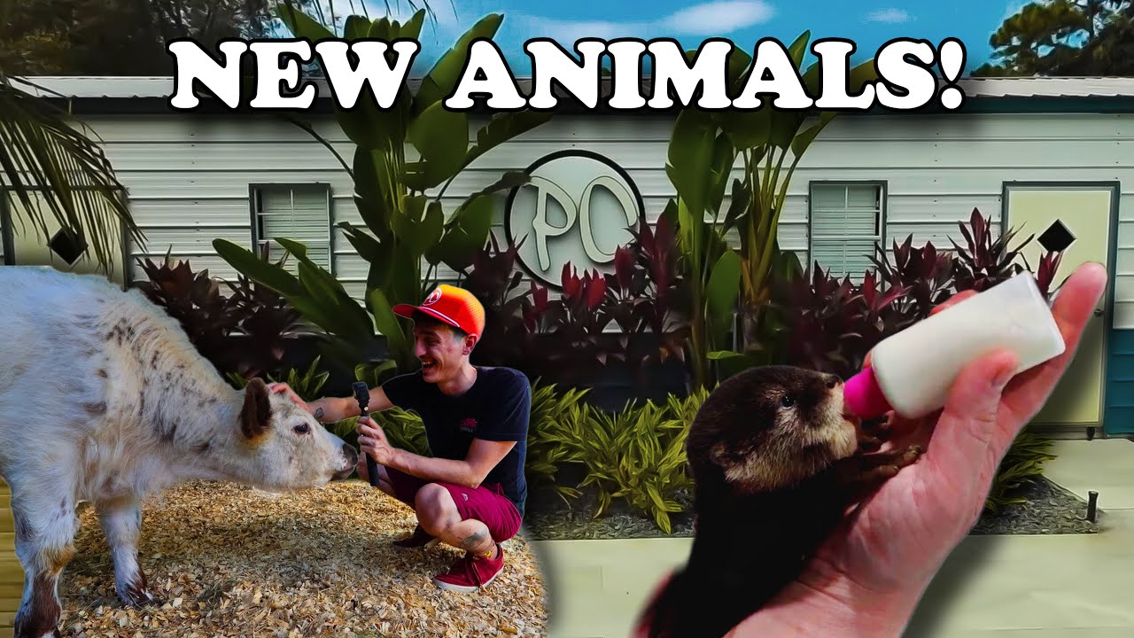 Maddness at the PC Farm! - YouTube