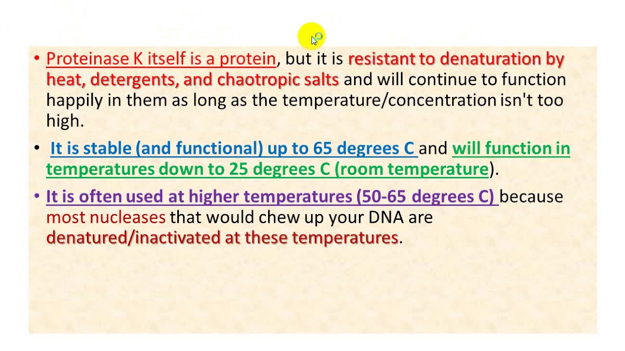 What Is The Role Of Proteinase K In Dna Extractionاستخلاص الحمض النووي Youtube