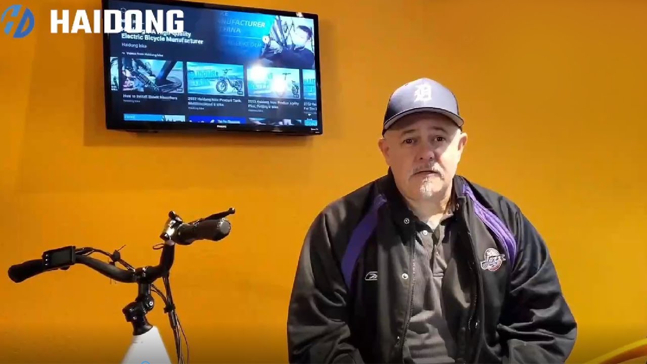 2022 Haidong Ebike Review: Real Feedback From Haidong Dealers - YouTube