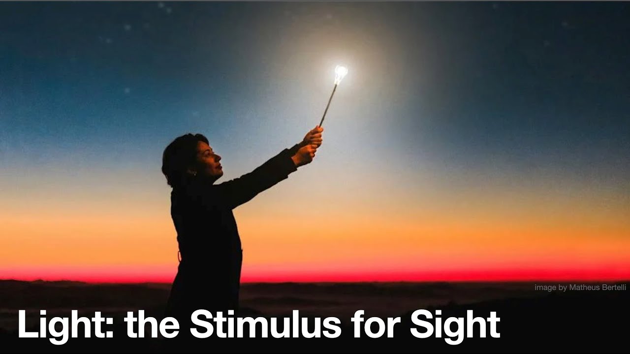Light The Stimulus for Sight - YouTube