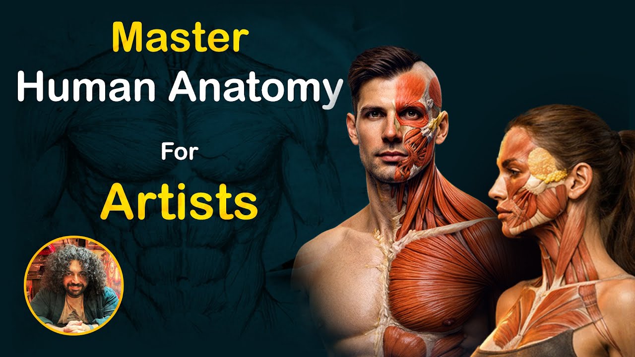 Master Human Anatomy for Artists - The Ultimate Drawing & Sculpting ...