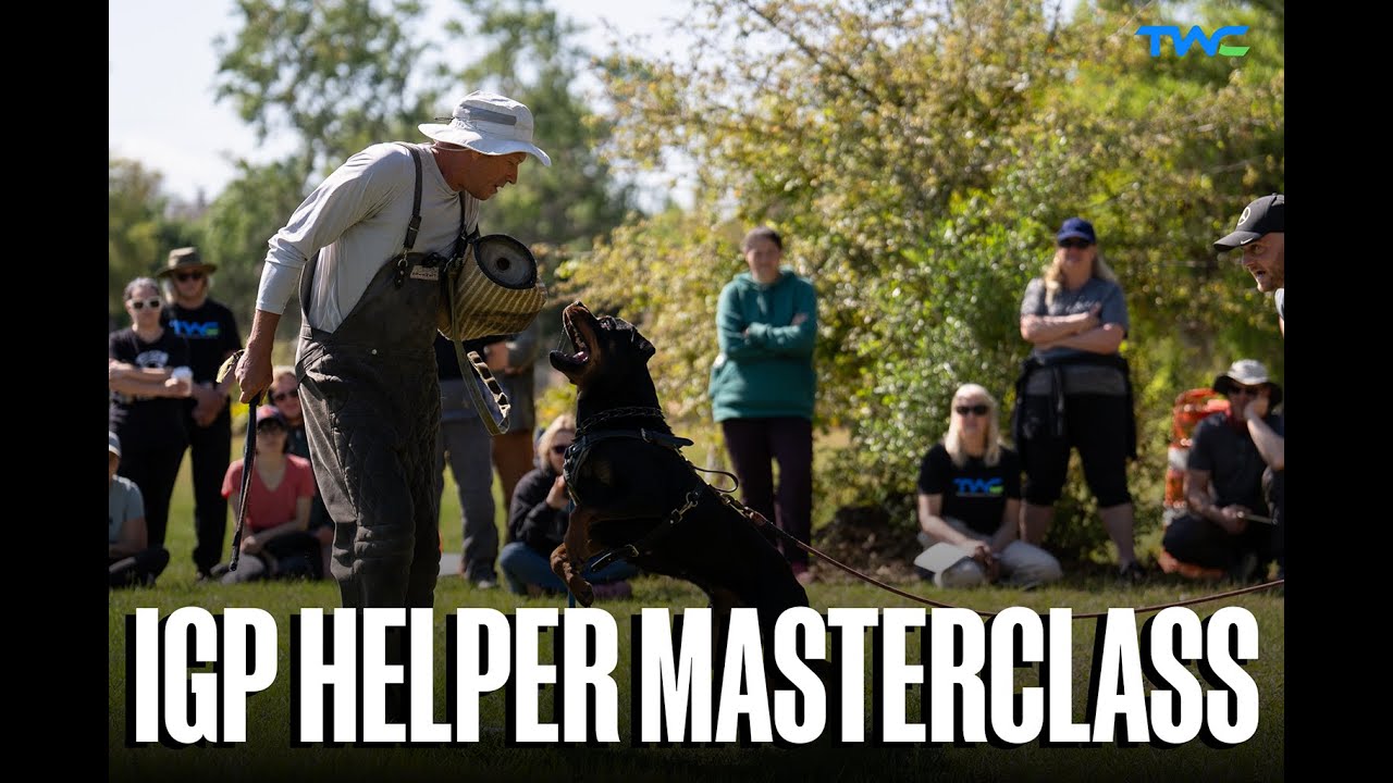 How to Become a World Class IGP Helper - YouTube