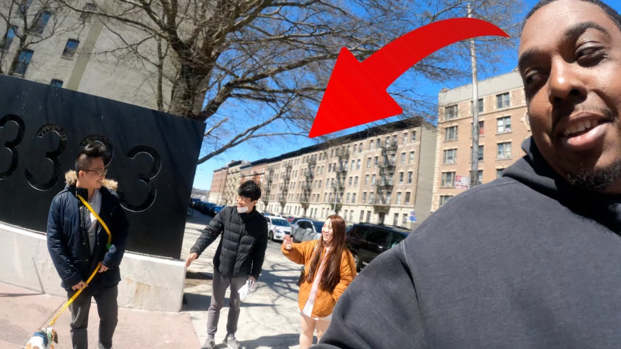 3333 Harlem is Gentrified Now!! - YouTube