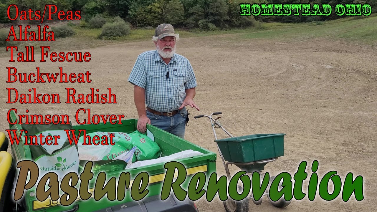 Pasture Renovation | Cover crops and Green Manure planting. - YouTube