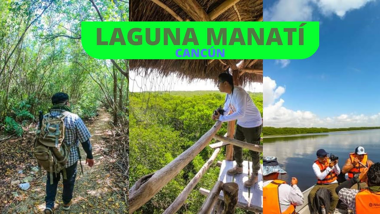 🔴LAGUNA MANATÍ CANCÚN | Moyita Explorando - YouTube