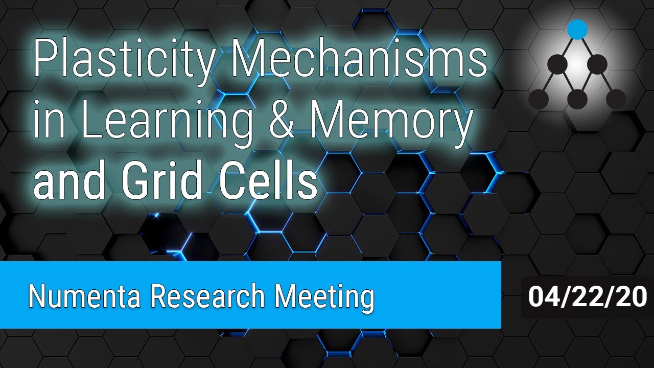 Plasticity Mechanisms in Learning & Memory / Grid Cells - April 22 ...
