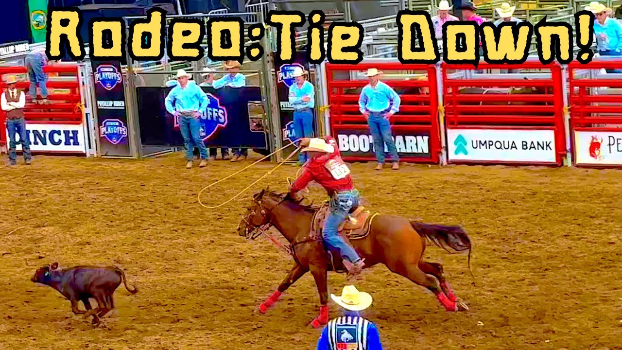Rodeo: Tie Down. Puyallup Rodeo 2024 - YouTube