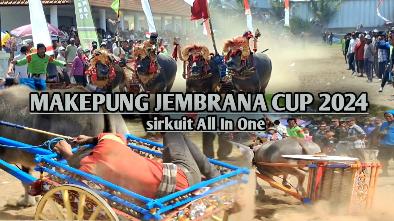 MAKEPUNG JEMBRANA CUP 2024 DI SIRKUIT ALL IN ONE PENGAMBENGAN #makepung ...