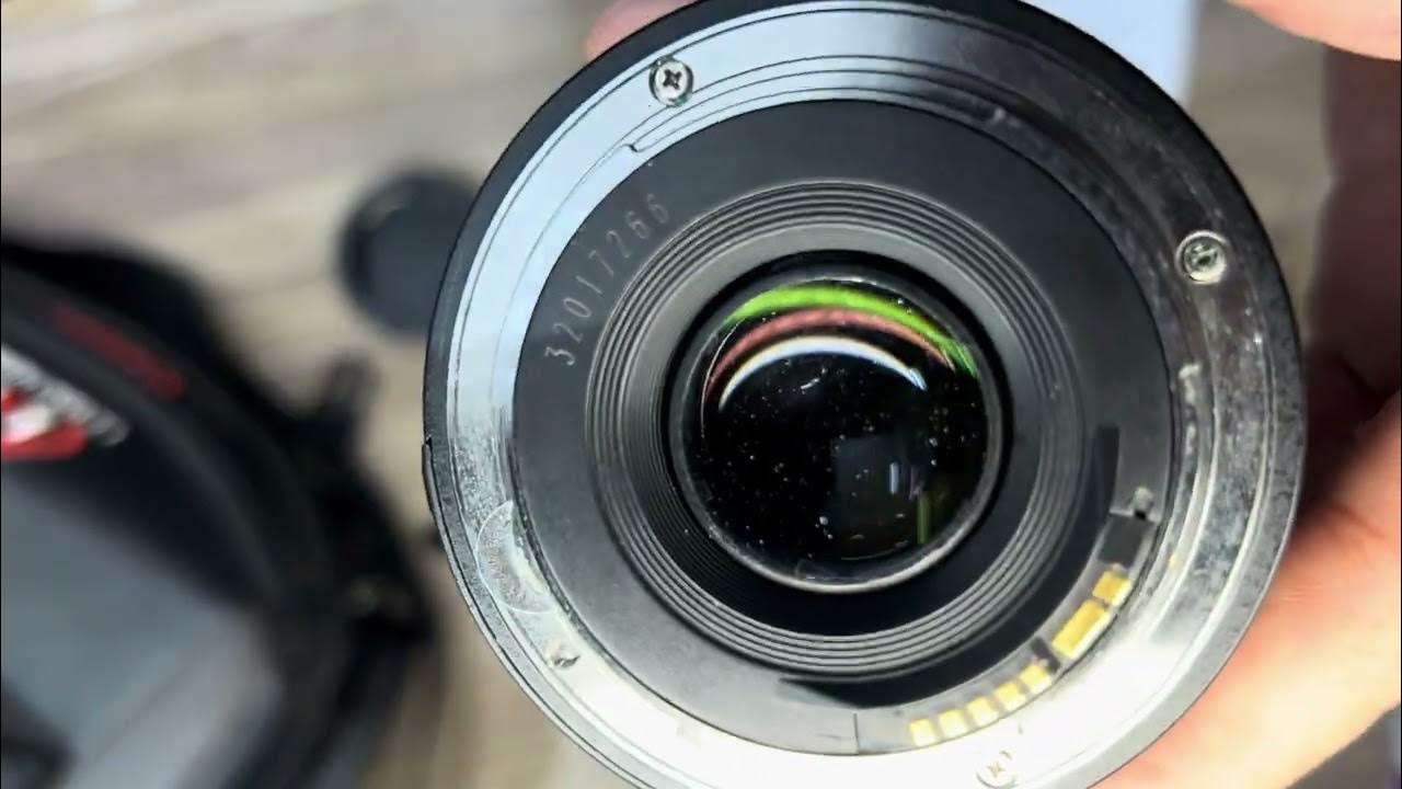 5d2 24/1/25 - YouTube