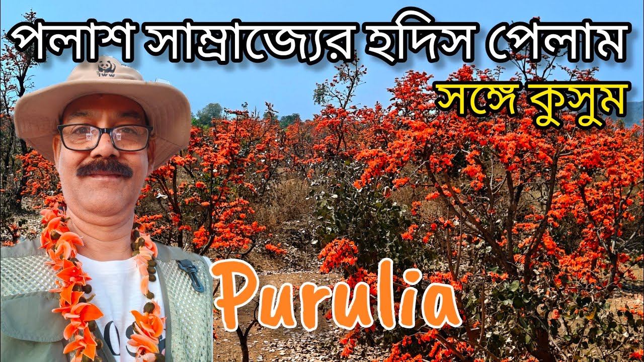 Purulia Tour | Secret Palash Forest, Basanter Purulia, Ajodhya Pahar ...