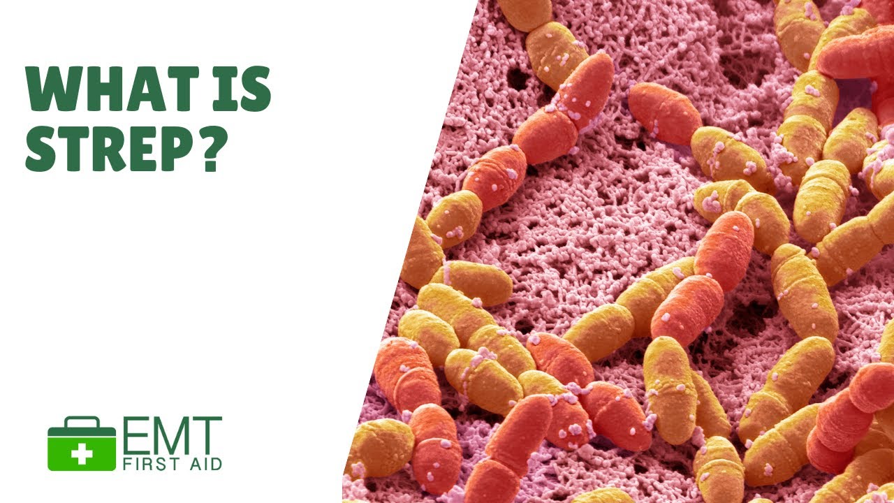 What is Strep? | Child and Baby First Aid | EMT First Aid Training ...