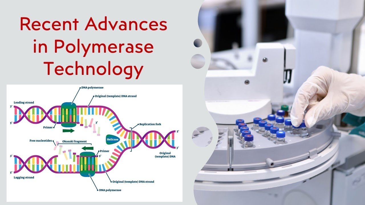 Polymerase Technology and its Role in Modern Biotechnology - Explained ...