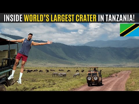 Ngorongoro Crater: The Most Incredible Wildlife Haven! 🇹🇿