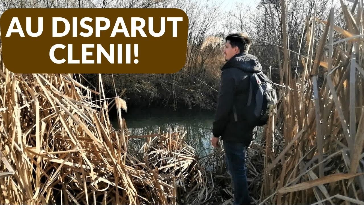 Pescuit la Clean 2020 - Blank, Nul, Zero Barat, Multimea Vida, Gherla ...