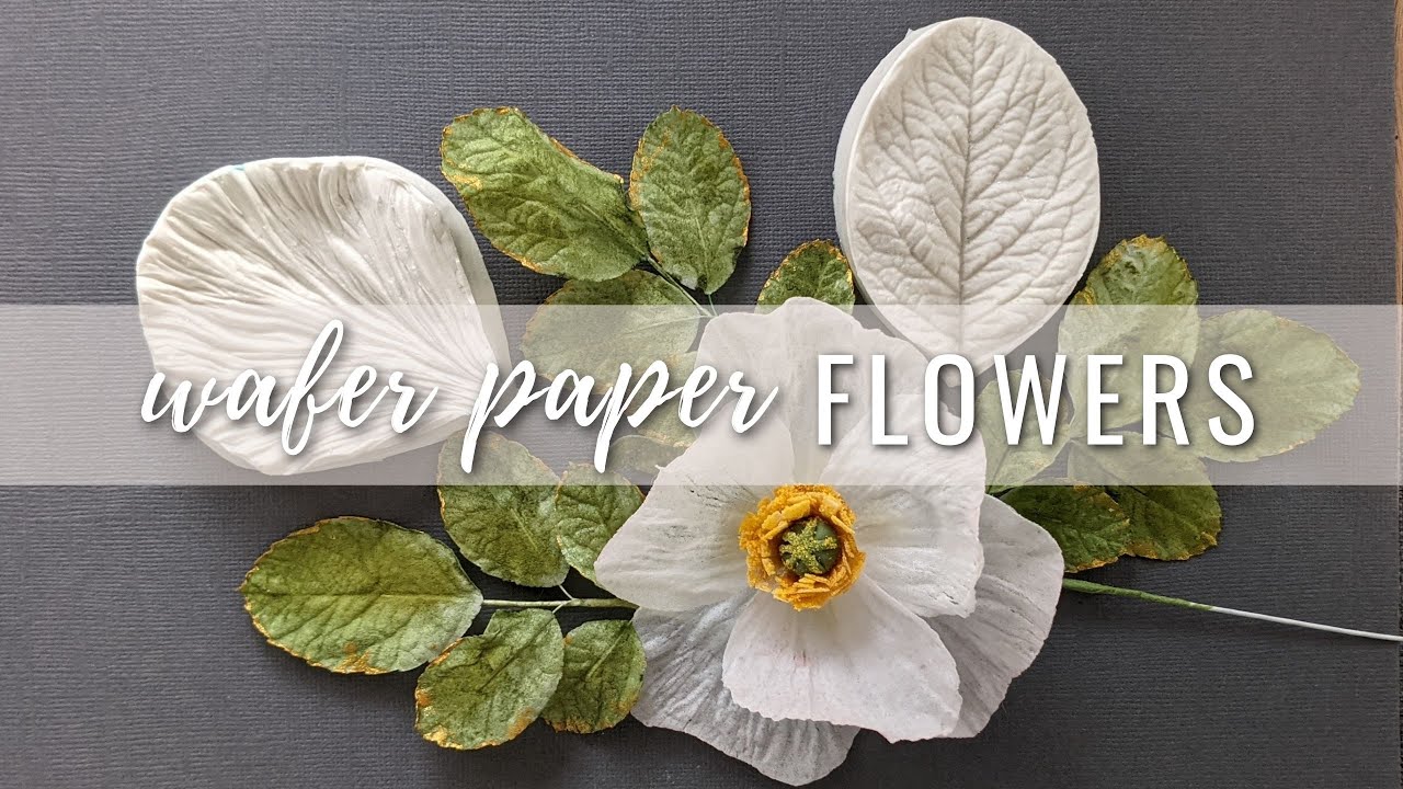 How To Make Wafer Paper Flower Petals Anna Astashkina YouTube how-to-make-wafer-paper-flower-petals-anna-astashkina-youtube