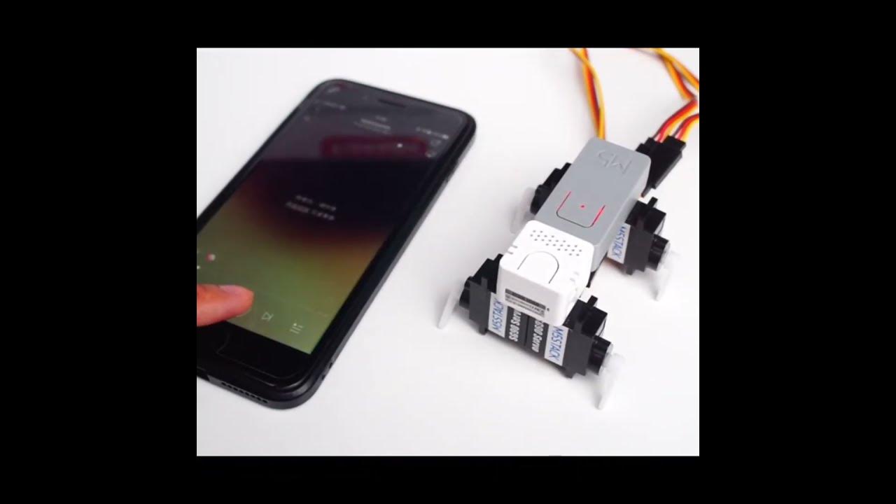 Original M5Stack ATOM Echo ESP32 Programmable Smart Speaker - YouTube