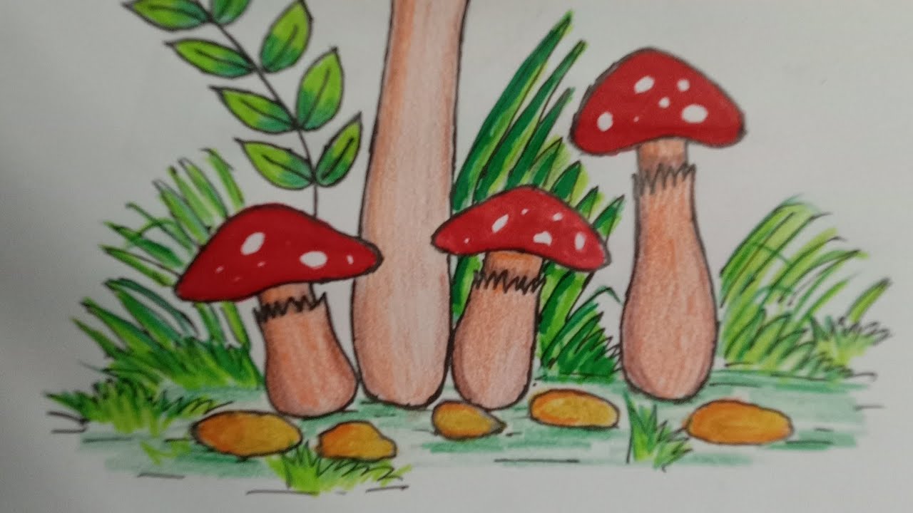 How to draw a mushroom garden🍄||Easy mushroom drawing for beginners ...