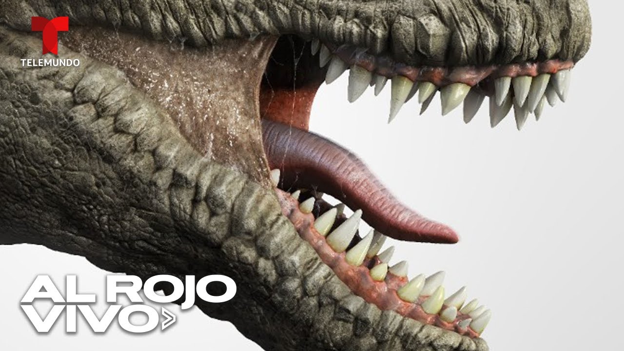 El tiranosaurio rex tenía labios y no mostraba sus dientes como se ...