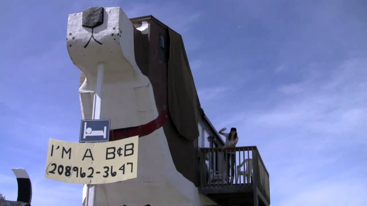 The World's Largest Beagle - YouTube
