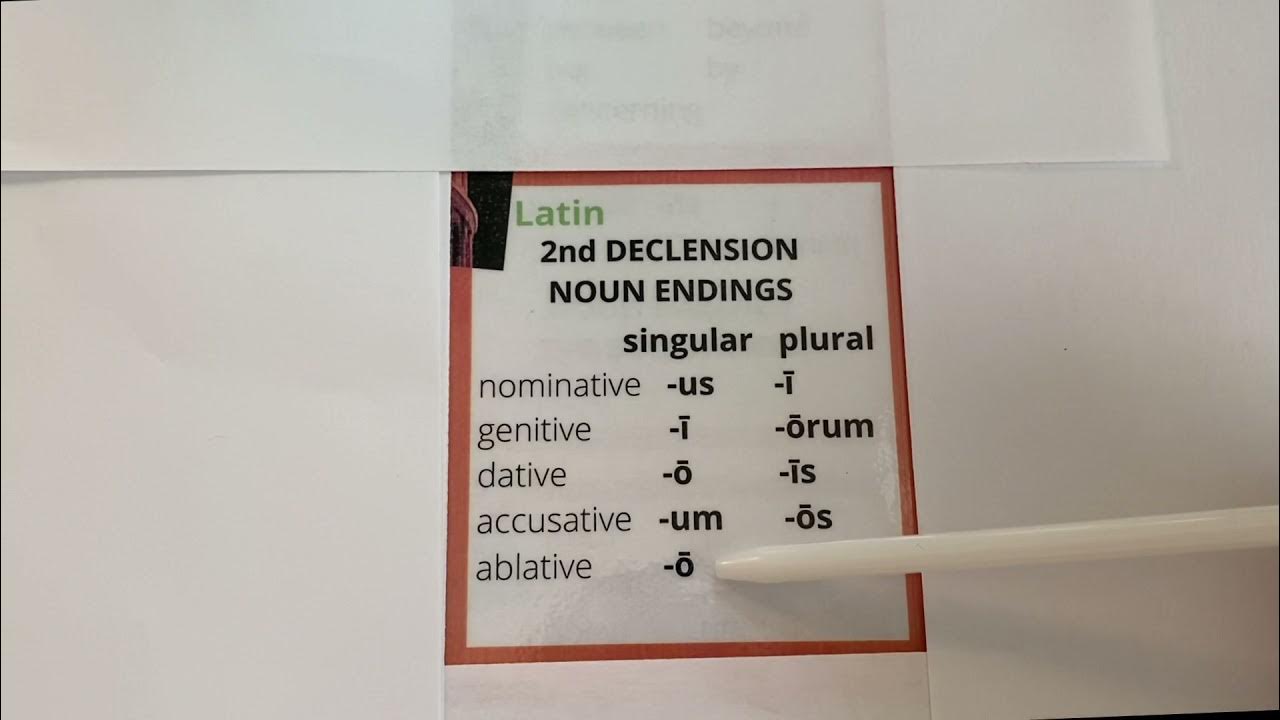CC CYCLE 1 WEEK 6 LATIN. 2nd declension noun endings. - YouTube