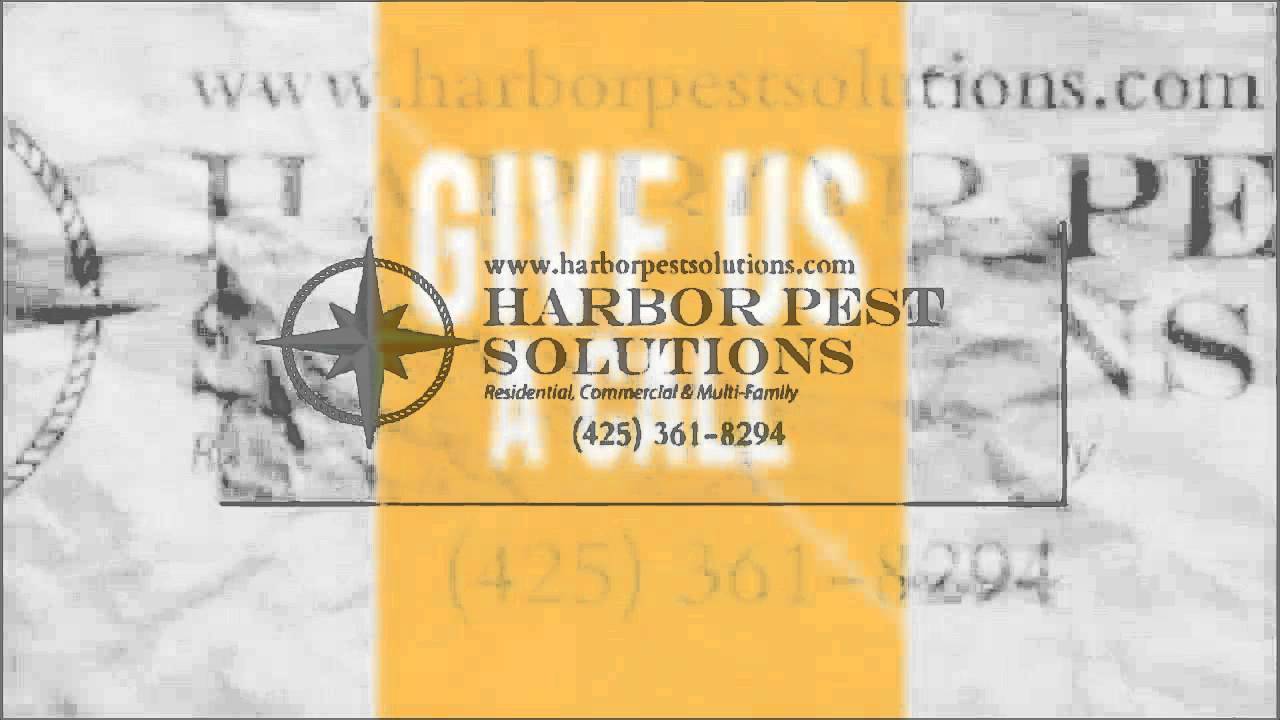 Harbor Pest Solutions - YouTube