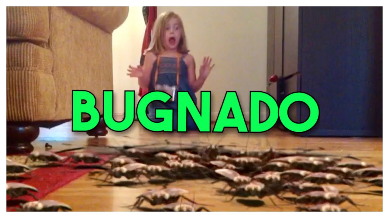 Bugnado (2014) - YouTube