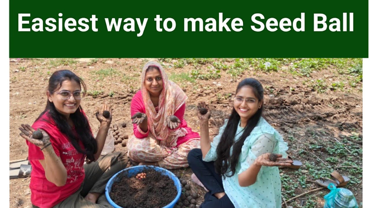 Seed ball ll How to make seed balls ll easiest way to make seed balls ...