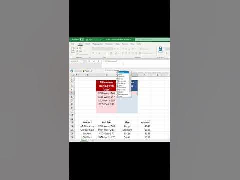 FILTER Function with Wildcard Partial match Text Contains in Excel @4A Tech Travel - YouTube
