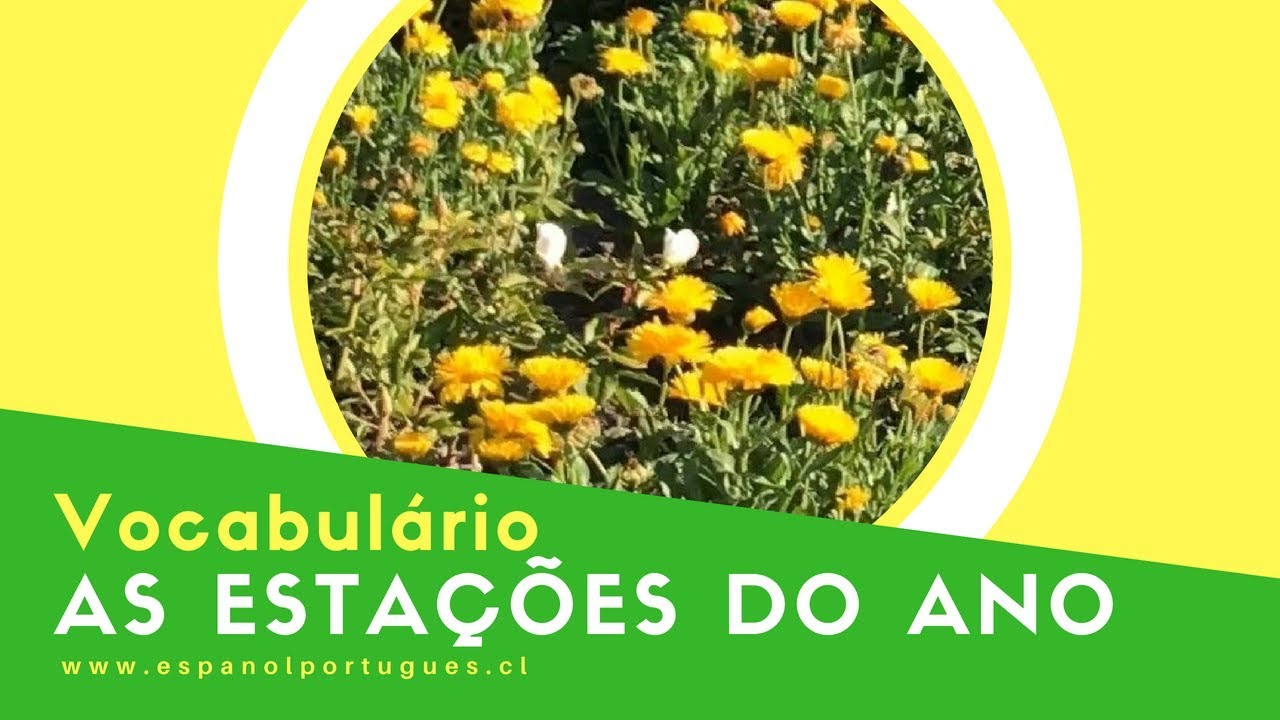 As estações do ano em português | Vocabulário | Aulas de português ...