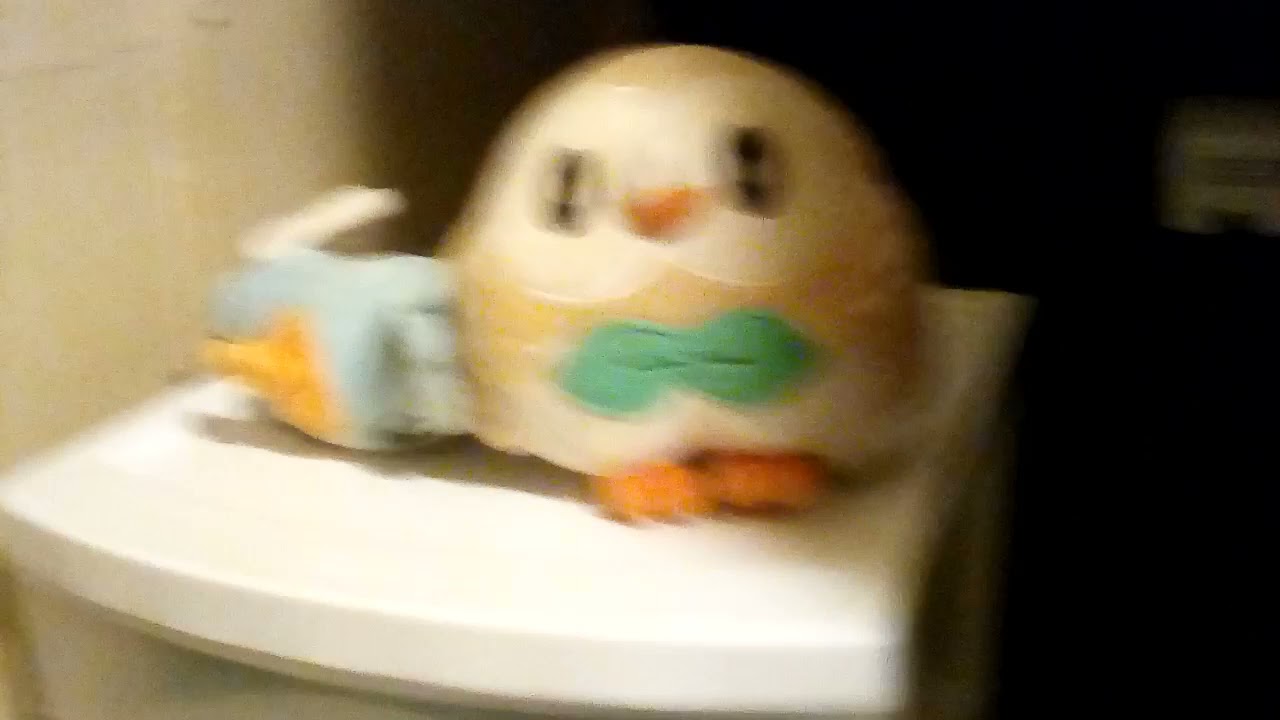 Happy rowlet - YouTube