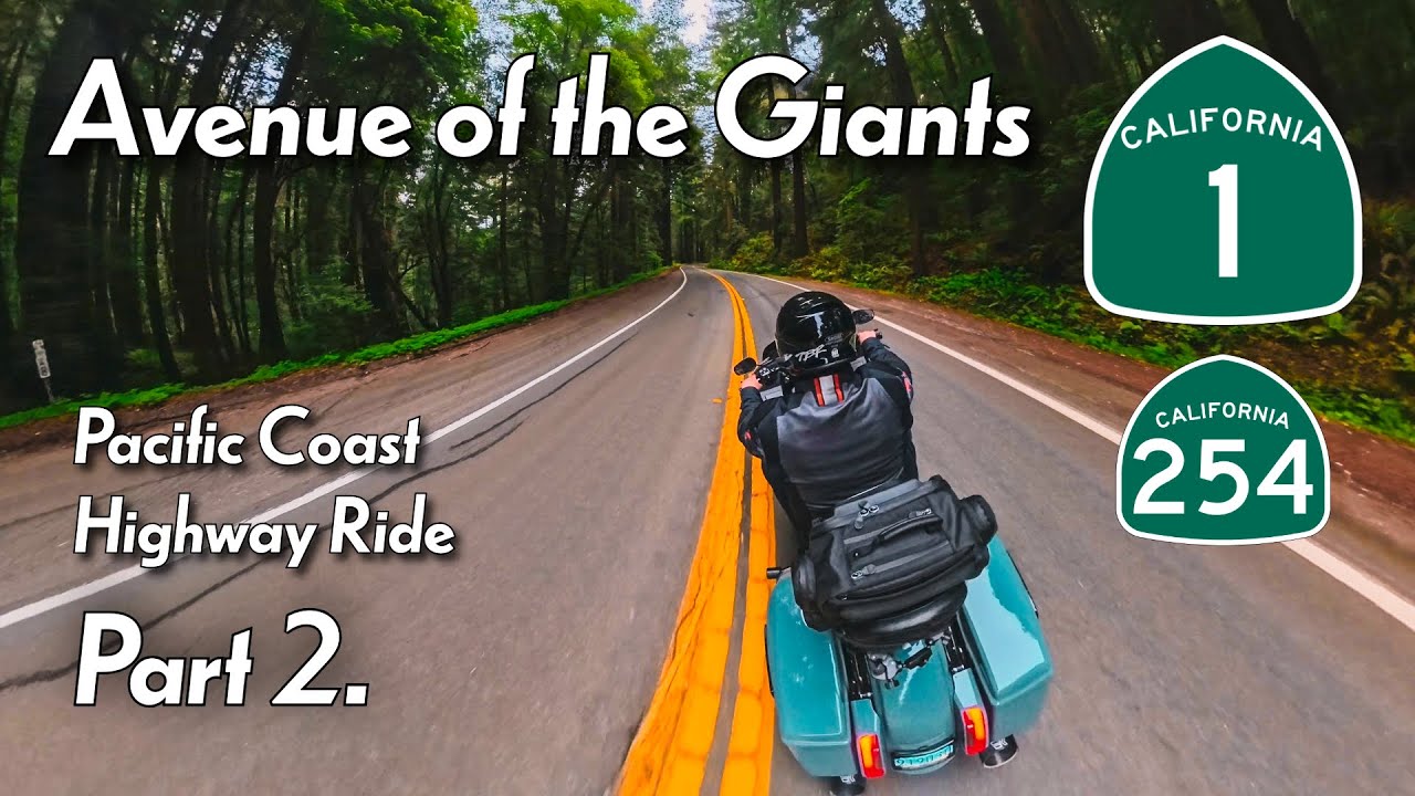 Riding Avenue of the Giants - Insta360x5 4K - PCH P2. - Harley ...