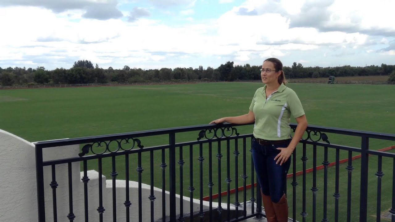 Santa Clara Polo Club in Wellington Florida Stable tour with Susan ...
