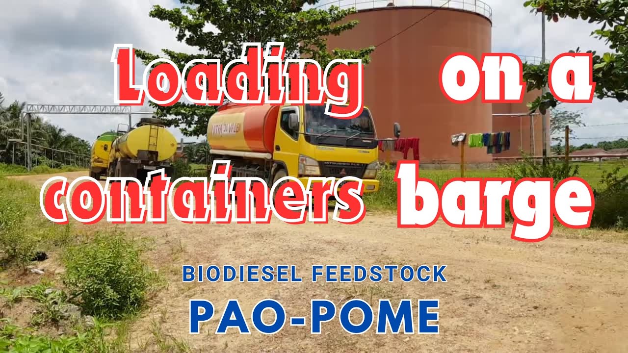 Expert Port Operator Shares Efficient Loading Techniques! #pao #pome ...