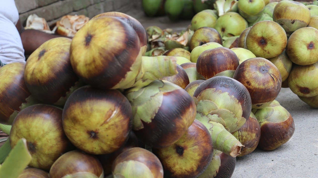 Peeling Tasty & Juicy Palm Fruit Edible Jelly Seeds in Pabna | Palm ...