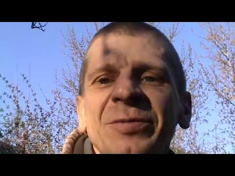 PIOSENKA DLA ASI #suchodolski #major #kononowicz #knur - YouTube