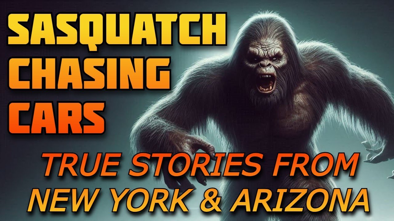 ANGRY BIGFOOT CHASING CARS DOWN THE FREEWAY, TRUE ENCOUNTERS FROM NEW YORK & ARIZONA - YouTube