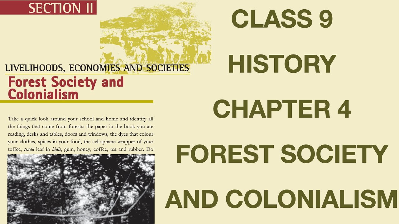 Reading NCERT Class 9 History Chapter 4: Forest Society and Colonialism ...